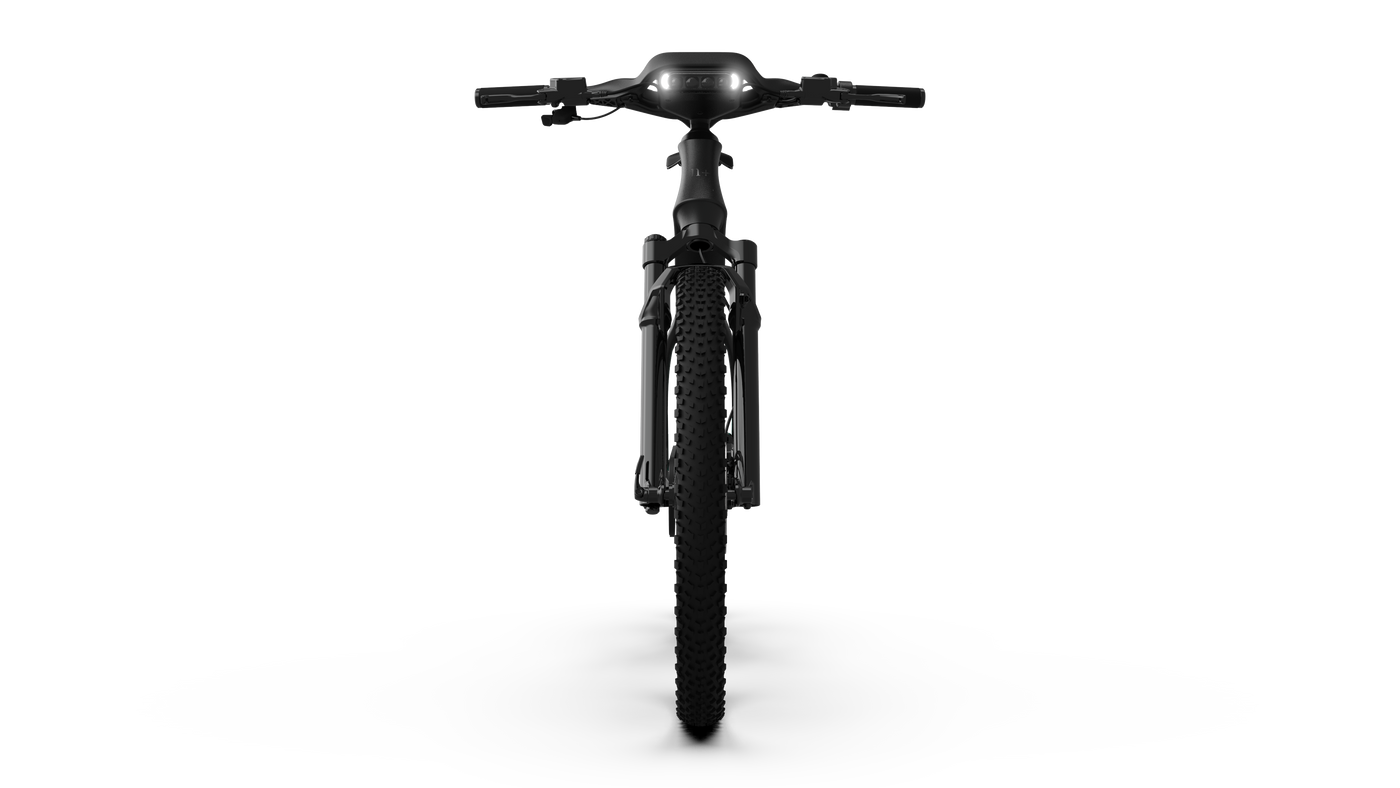 Rallye Edition 750 Mercedes-AMG PETRONAS F1® Electric Bike | N+ Bikes