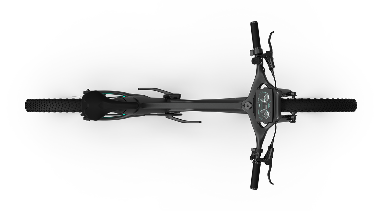 Rallye Edition 750 Mercedes-AMG PETRONAS F1® Electric Bike | N+ Bikes