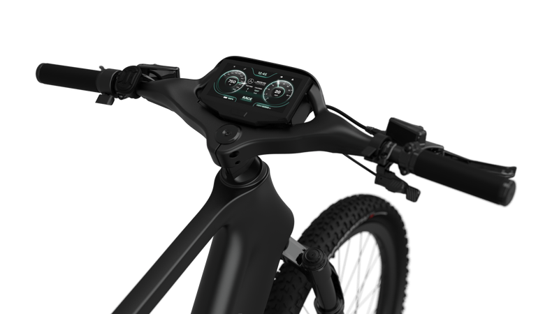 Rallye Edition 750 Mercedes-AMG PETRONAS F1® Electric Bike | N+ Bikes