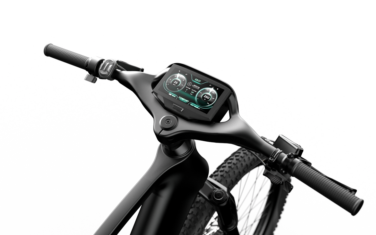 Rallye Edition 250 Mercedes-AMG PETRONAS F1® Team eBike | N+ Bikes