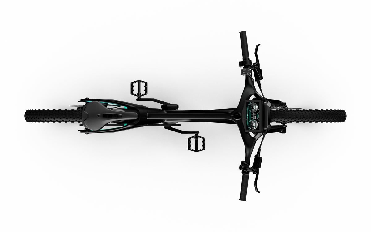 Rallye Edition 750 Mercedes-AMG PETRONAS F1® Team eBike | N+ Bikes